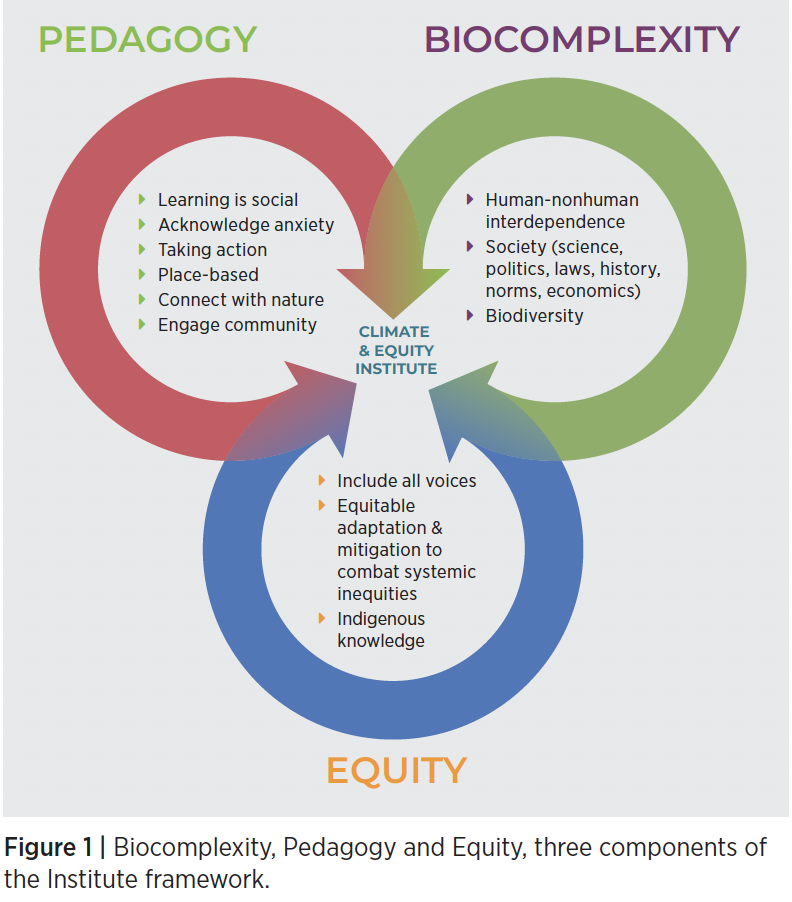 Climate and Equity Institute: A model for transformative professional ...