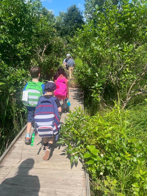 Sound Travels: Exploring the Unique Soundscape of North Park