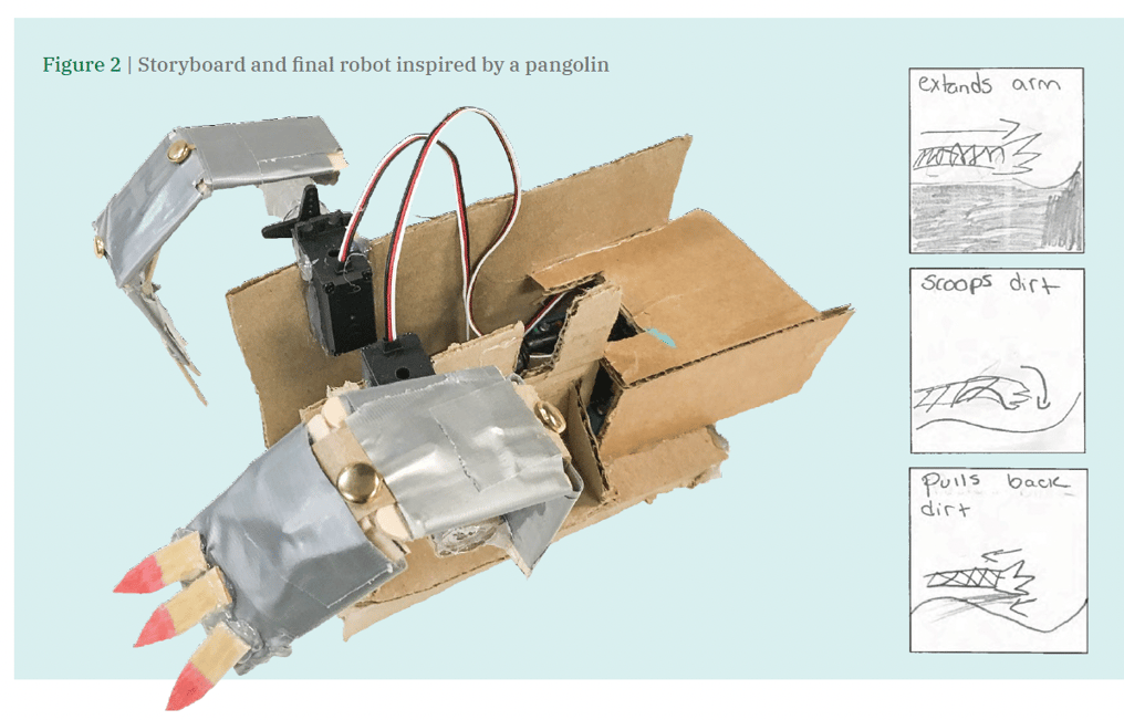 Designing Biomimetic Robots -TERC